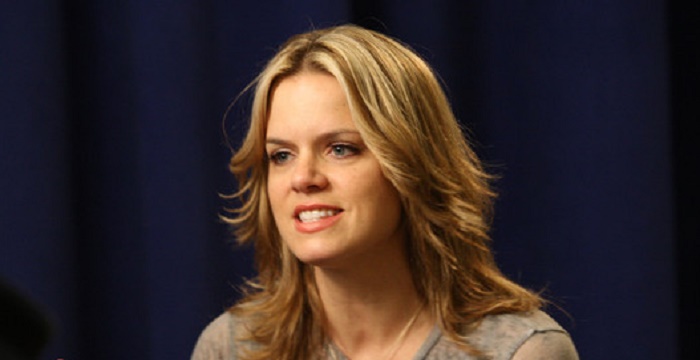 Amy Spanger - Bio, Facts, Family Life of Actressx