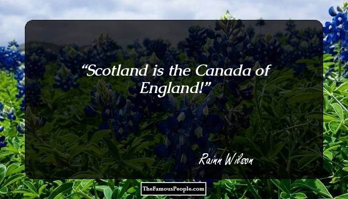 Rainn Wilson Wiki Bio Age Net Worth And Other Facts